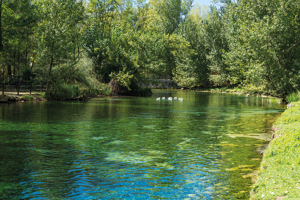 Parco del Grassano - San Salvatore Telesino (BN) - Campania Bellezza ...